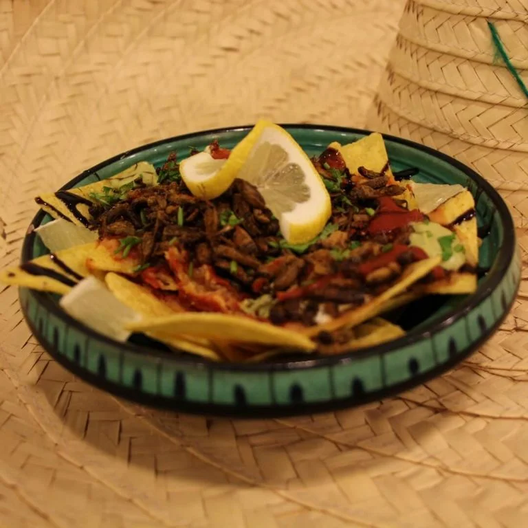 Edible crickets are delicious! Bugs taste good! | Party Bugs