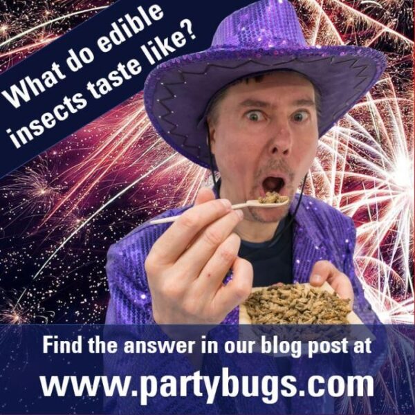 Why are edible insects still so expensive? | Party Bugs – Seasoned ...