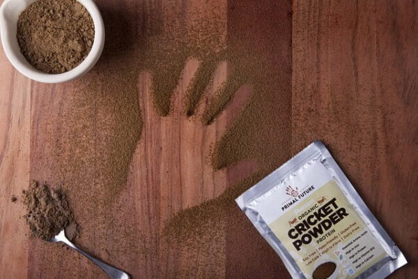 EDIBLE CRICKETS: EVERYTHING You Need to Know – The Ultimate Guide!